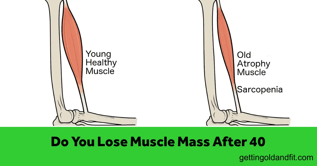 Do You Lose Muscle Mass After 40 - Getting Old And Fit Do You Lose Muscle Mass After 40 - Getting Old And Fit